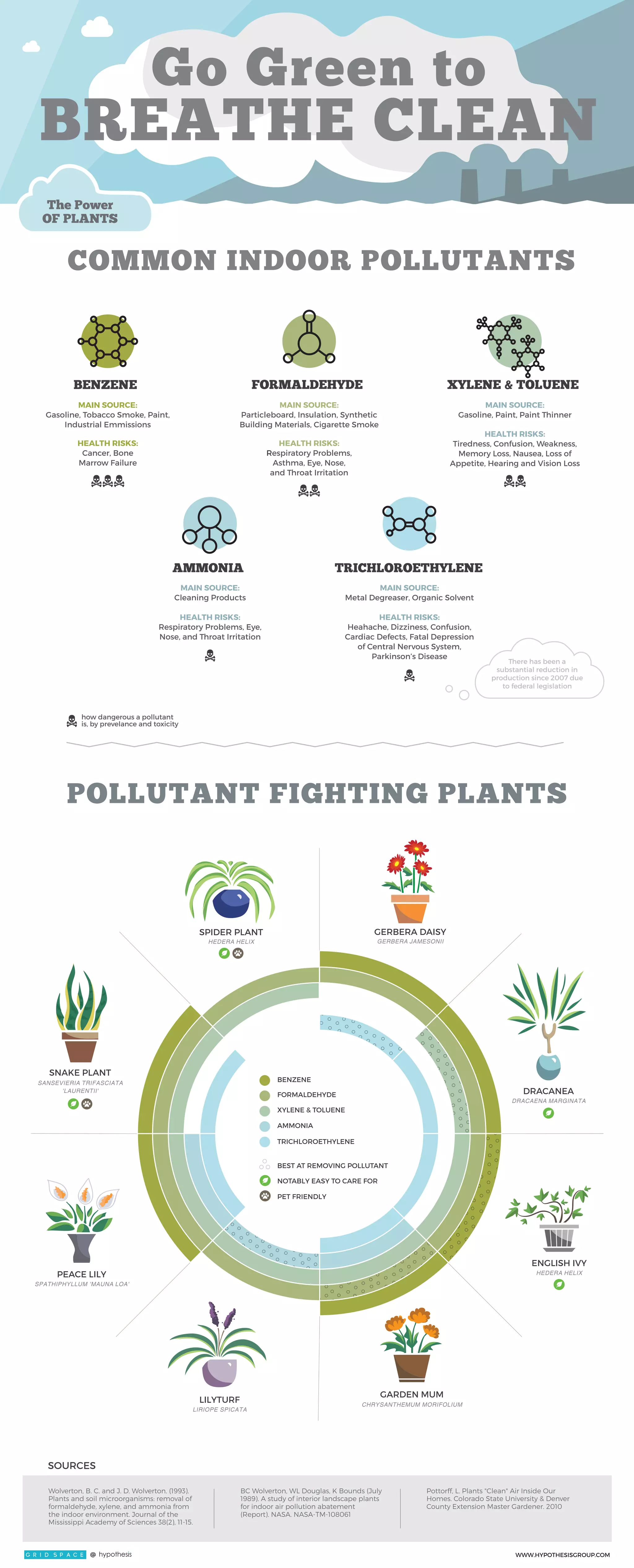 Go Green to Breathe Clean Infographic | PDF