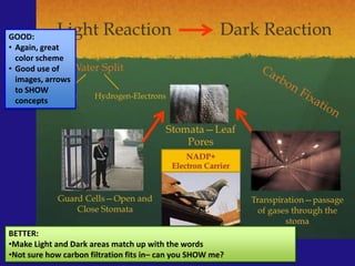 Infographic good and better | PPT