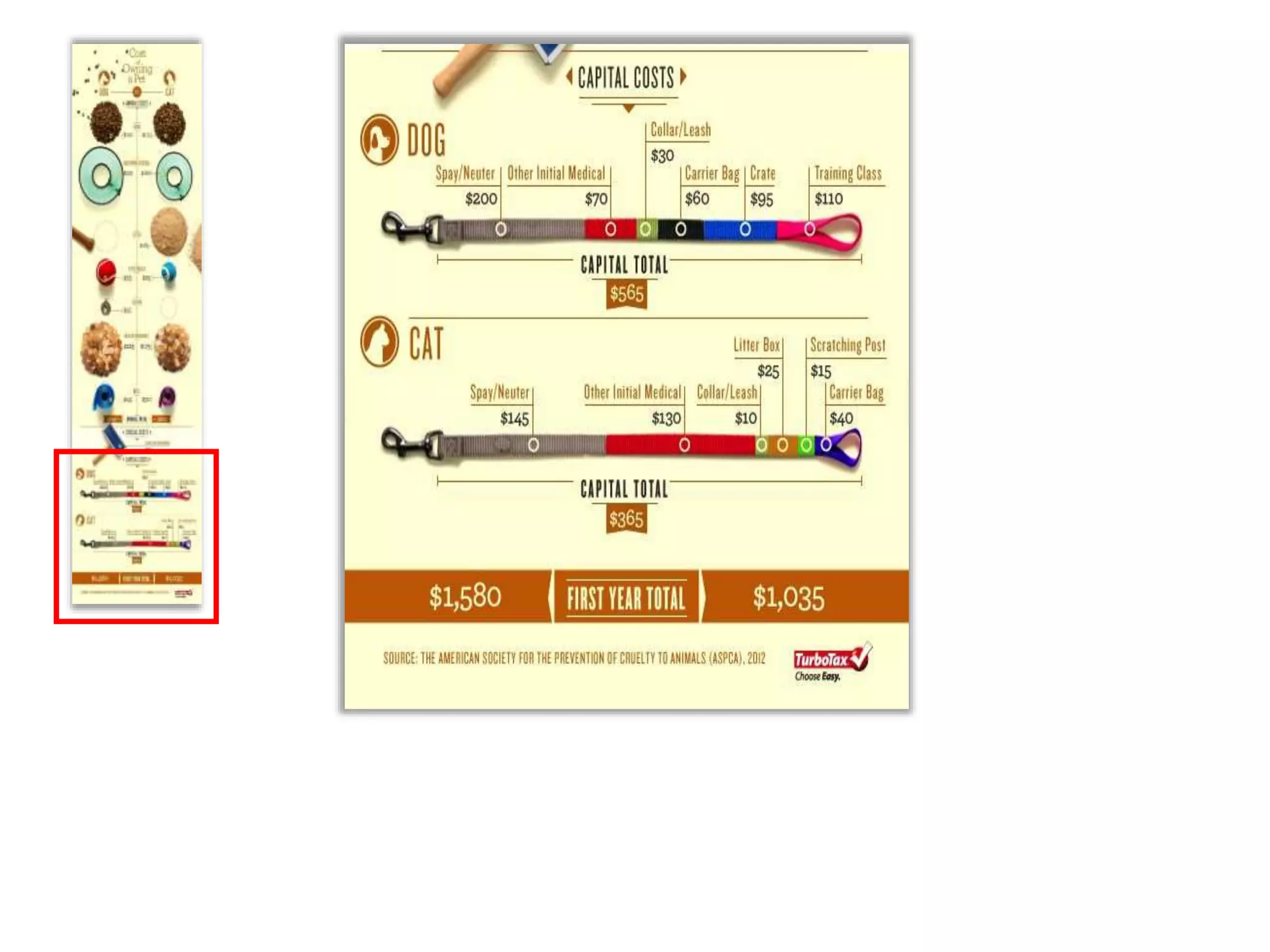 Infographics: Data, Sorted, Arranged, Presented | PPTX