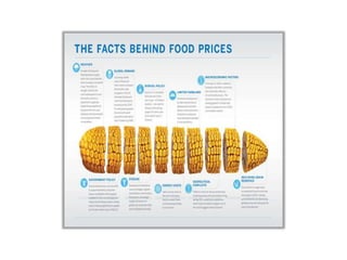 Infographics: Data, Sorted, Arranged, Presented | PPT