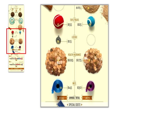 Infographics: Data, Sorted, Arranged, Presented | PPT