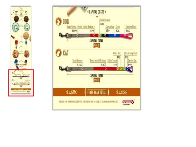 Infographics: Data, Sorted, Arranged, Presented | PPT