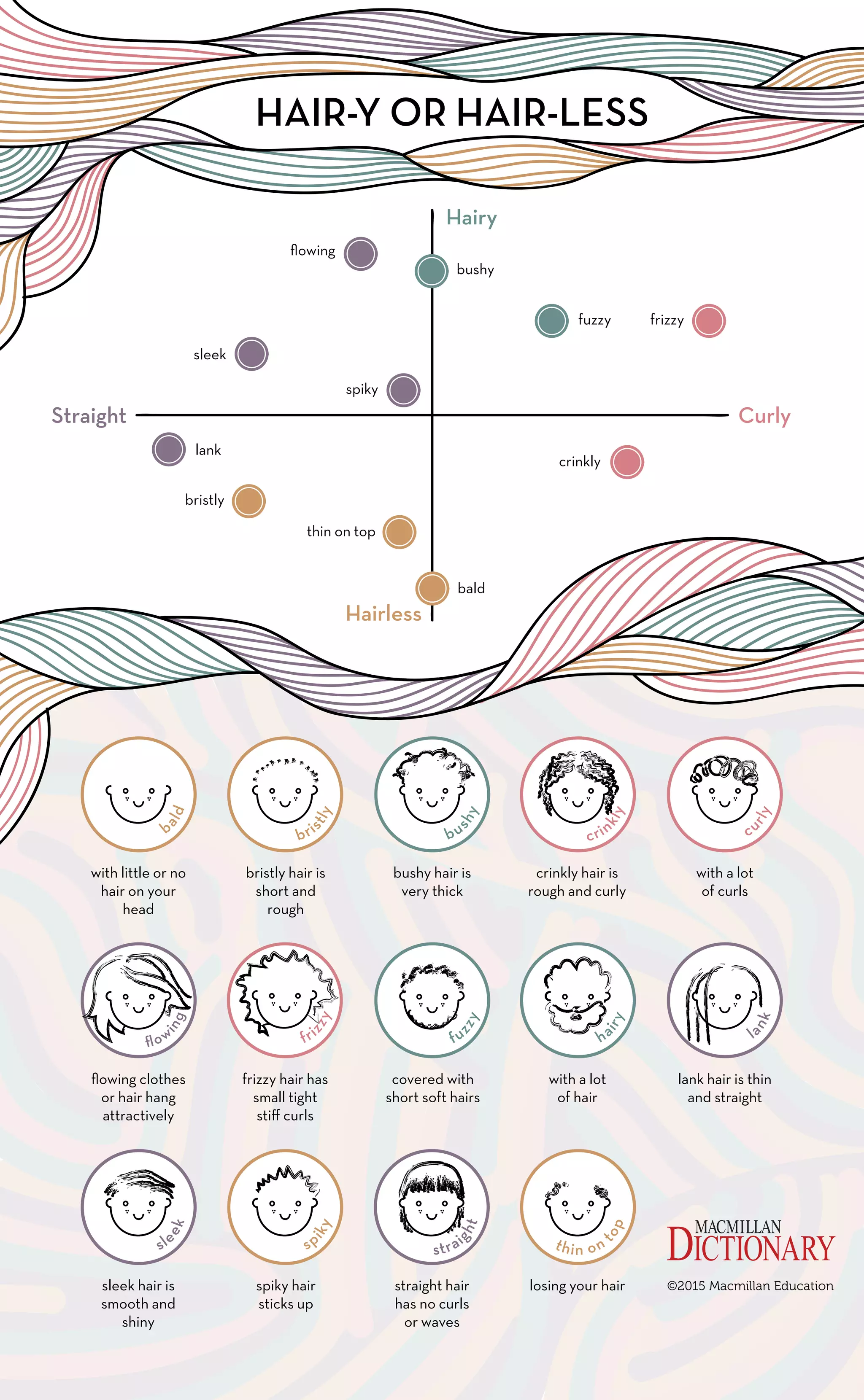 Infographics hairstyles vocabulary | PDF