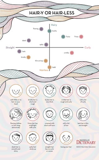 Infographics hairstyles vocabulary | PDF
