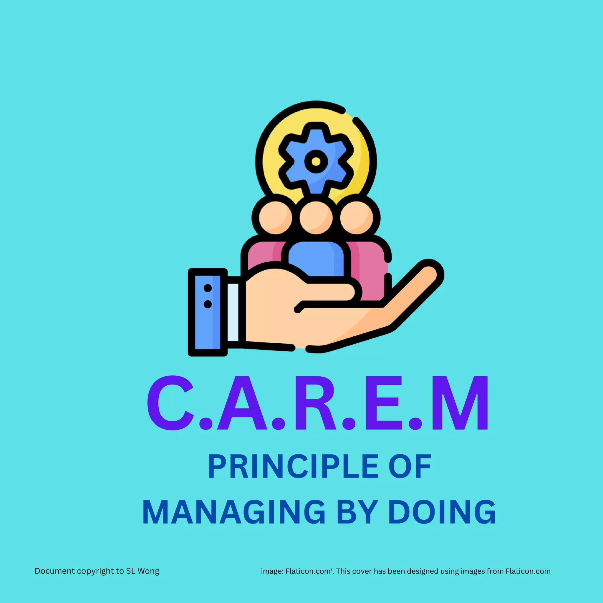 CAREM | PDF