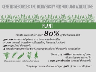 Genetic Resources and Biodiversity for Food and Agriculture | PPT ...