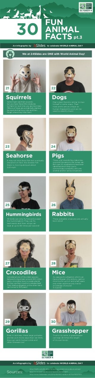 Infographic - World Animal Day - 30 Fun Animal Facts pt. 3