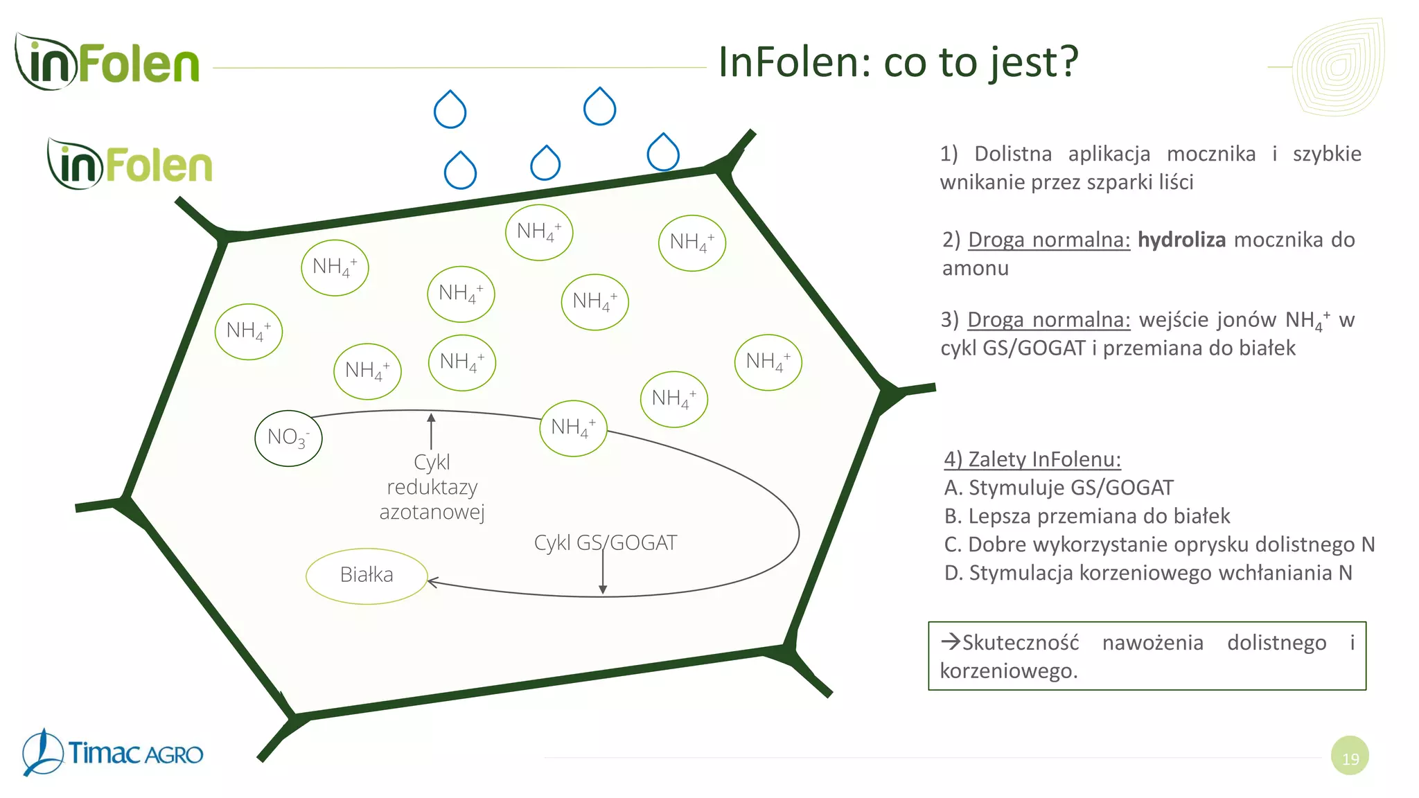 inFolen prezentacja produktowa | PDF