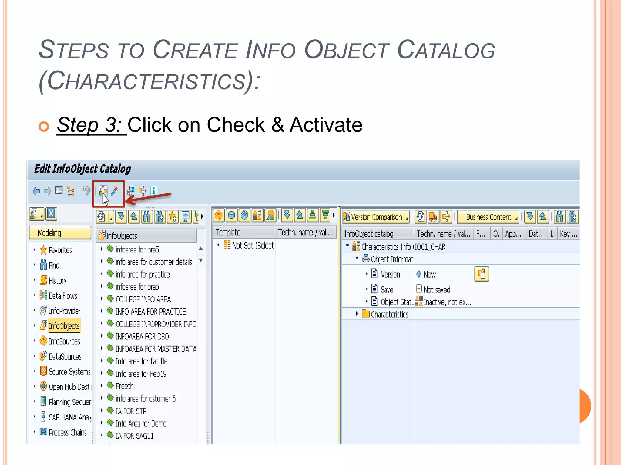 SAP BW - Info object catalog | PPTX | Desktop Publishing | Computer Software and Applications