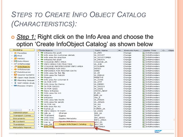 SAP BW - Info object catalog | PPT