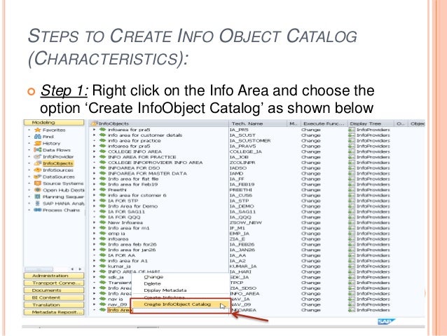 SAP BW - Info object catalog
