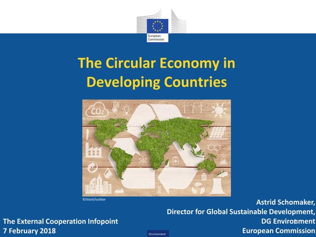 The circular economy in developing countries | PDF