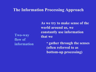 Information processing approach | PPT