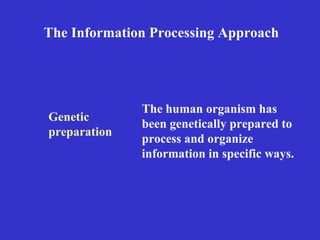 Information processing approach | PPT