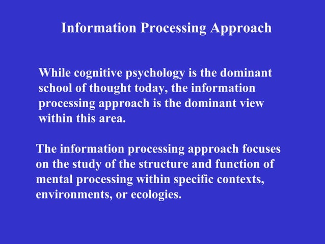 Information processing approach | PPT