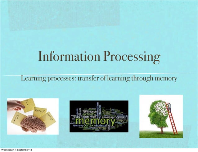 Info processing 3 pdf | PDF