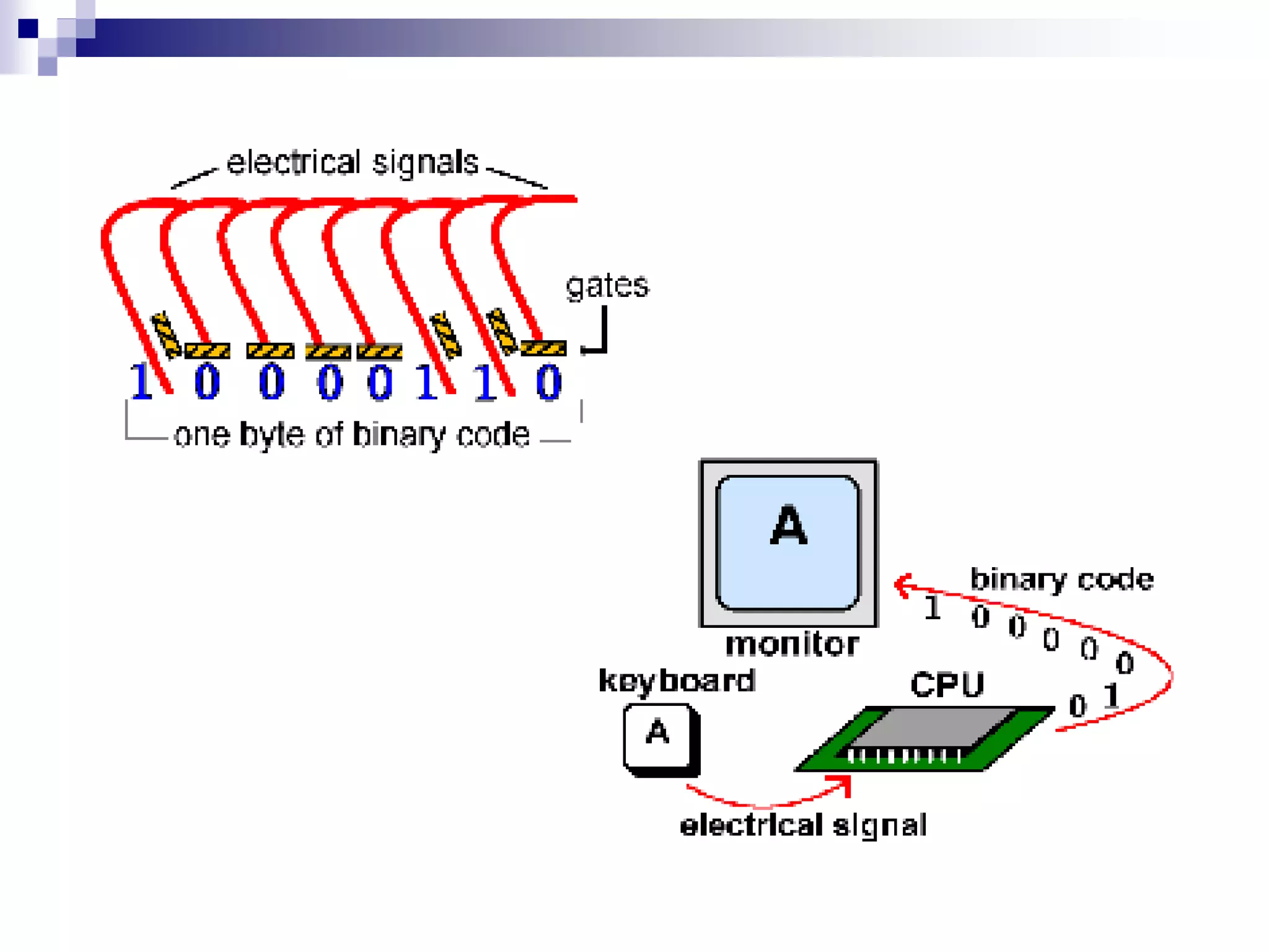 Information Processing System Ppt