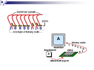 Information Processing System | PPT