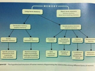 Info process theory | PPTX
