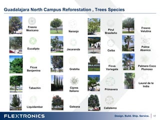 Informacion pagina de intranet | PPT