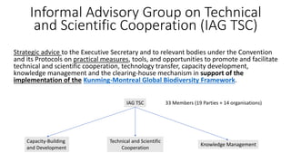Informal Advisory Group on Technical and Scientific Cooperation (IAG ...