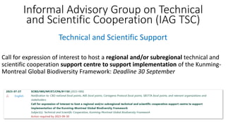 Informal Advisory Group on Technical and Scientific Cooperation (IAG ...