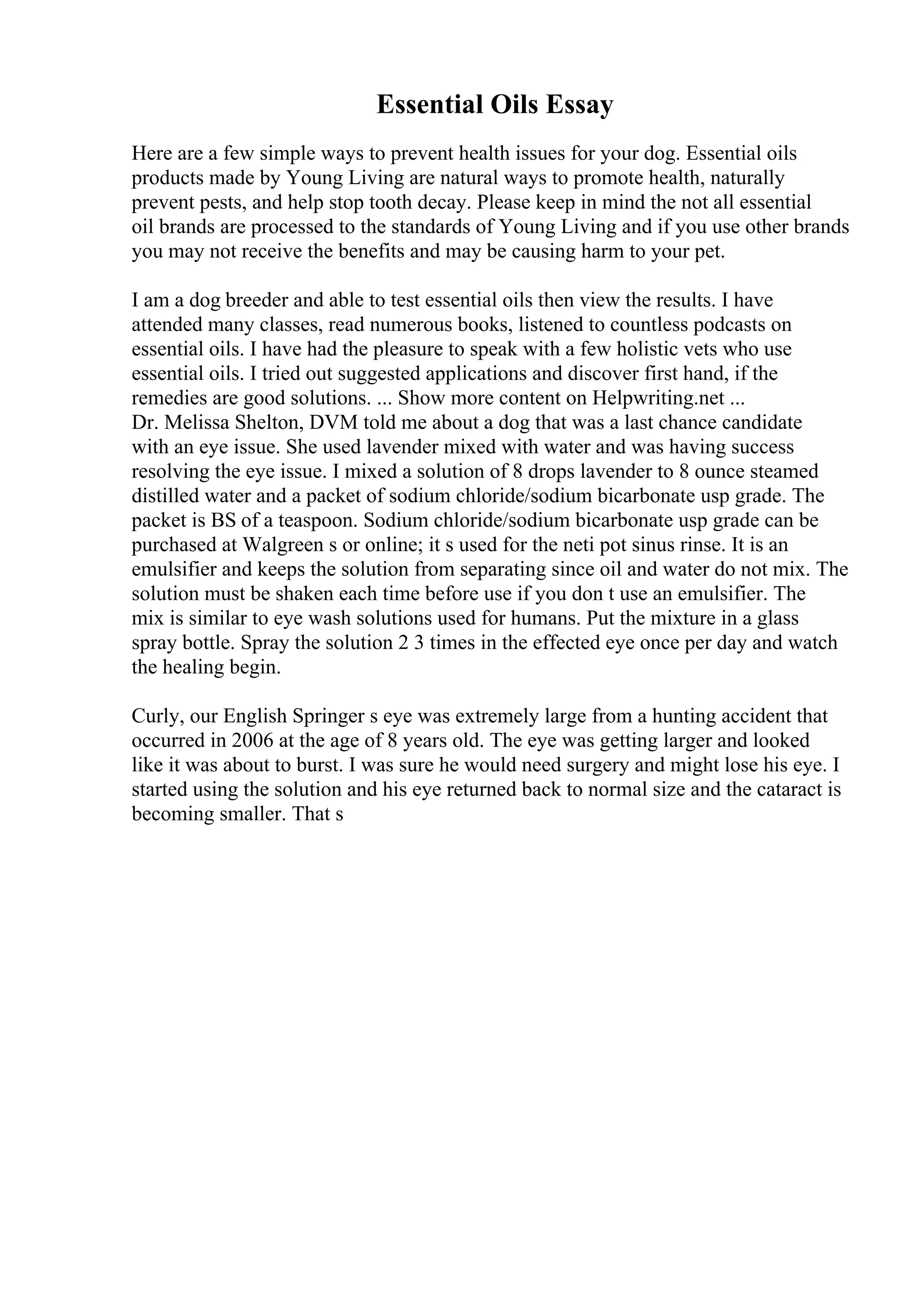 Informal Essay Example | PDF | Dogs | Pets