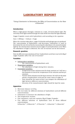 Informal Reports | PDF