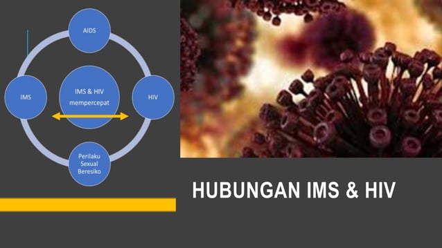 Informasi Dasar HIV AIDS & IMS.ppt