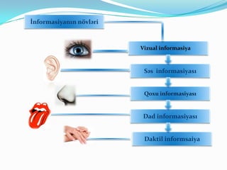 Informasiya prosesl ri-nigar-baxisova | PPTX