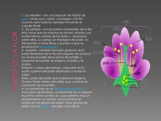 LAS FLORES | PPTX