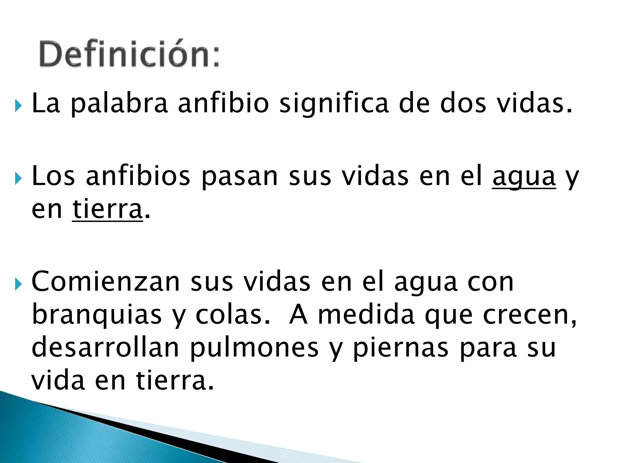 Anfibios | PPT