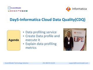 Informatica CDQ Data Profiling Guide InventModel | PDF