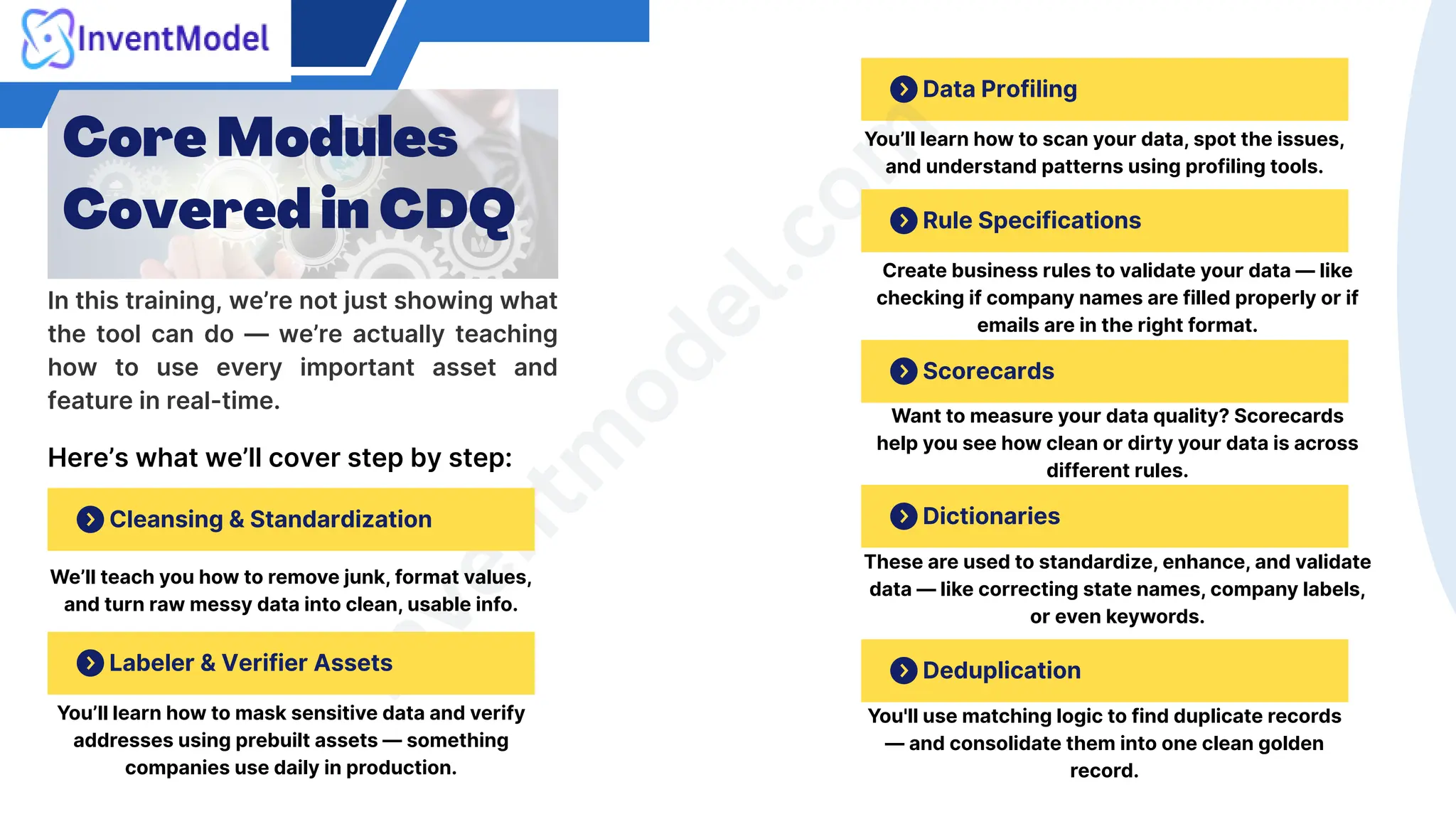 Informatica Cloud Data Quality (CDQ) Full Course Overview by InventModel | PDF