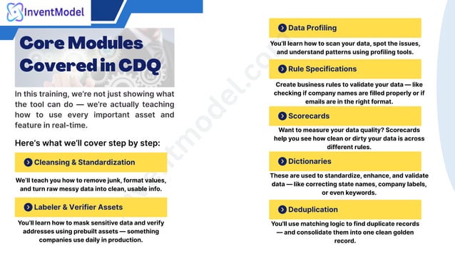 Informatica Cloud Data Quality (CDQ) Full Course Overview by ...