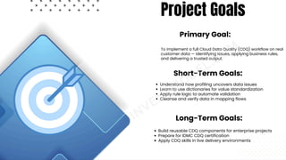 Informatica CDQ Project Plan – Real-World Training Workflow | PDF