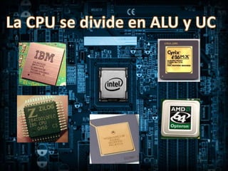 LA CPU ALU y UC | PPTX