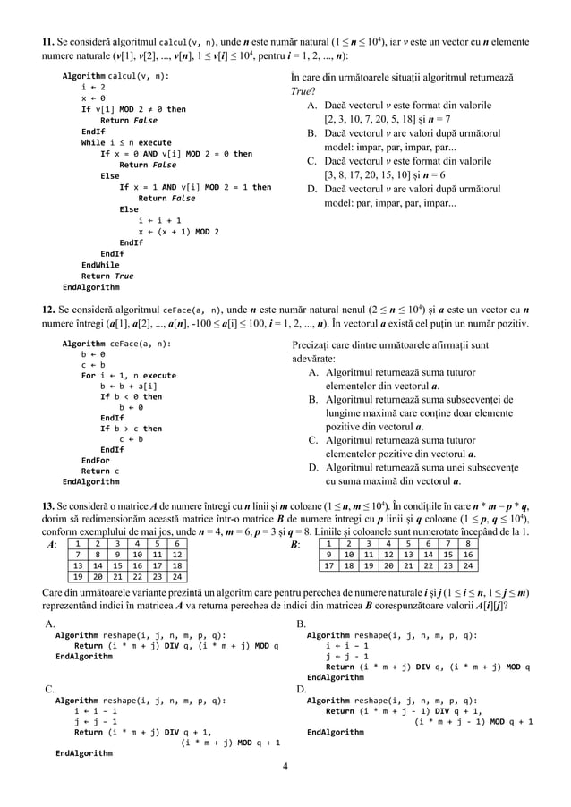Bacalaureat INFO 203 matematica informatica | PDF