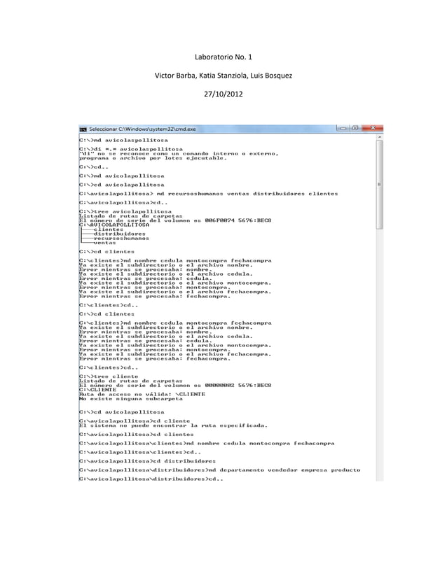 Informatica laboratorio | PDF