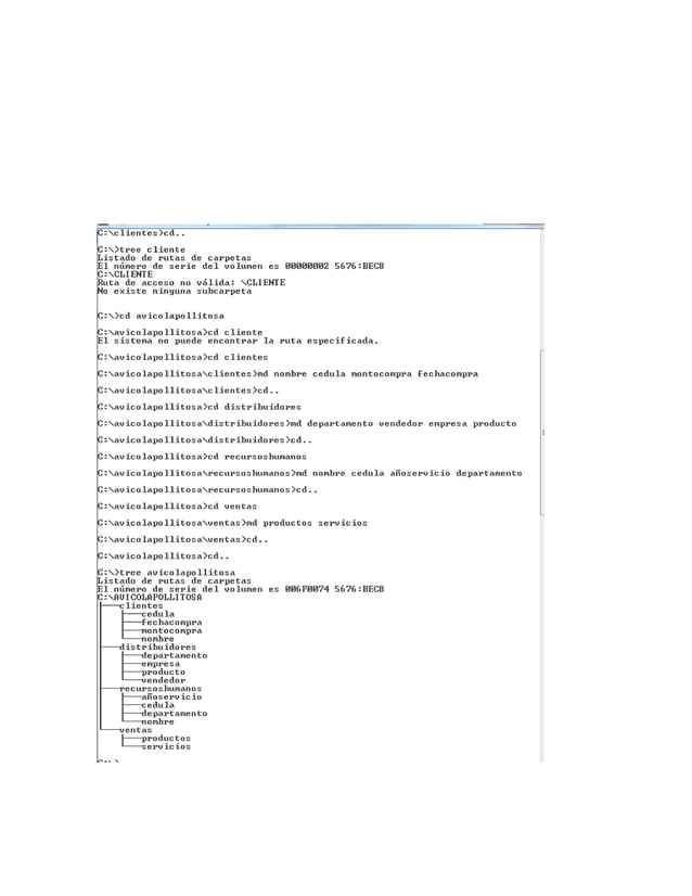 Informatica laboratorio | PDF