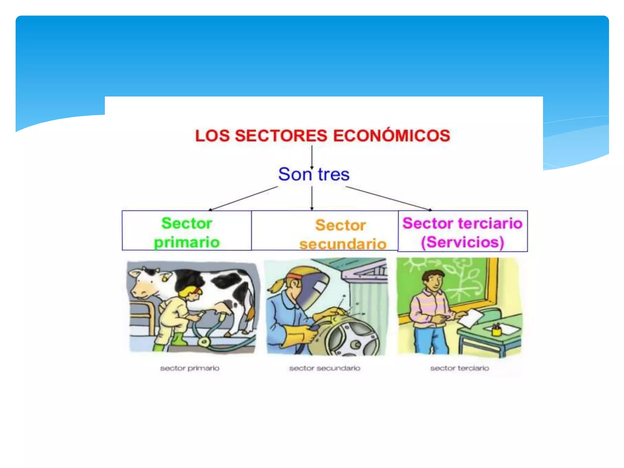 LOS SECTORES ECONOMICOS | PPT
