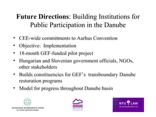 Information Access and NGO Participation: North America and Europe | PPT