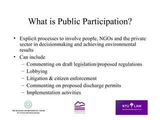 Information Access and NGO Participation: North America and Europe | PPT