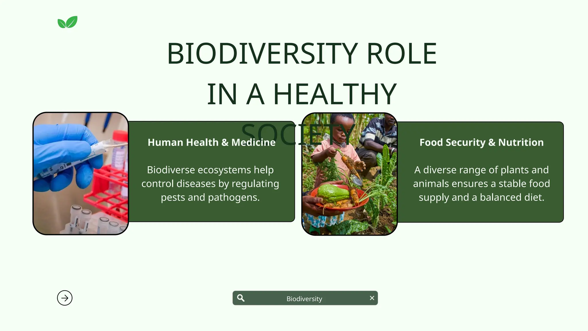 information-age-biodiversity-and-the-healthy-society.pptx