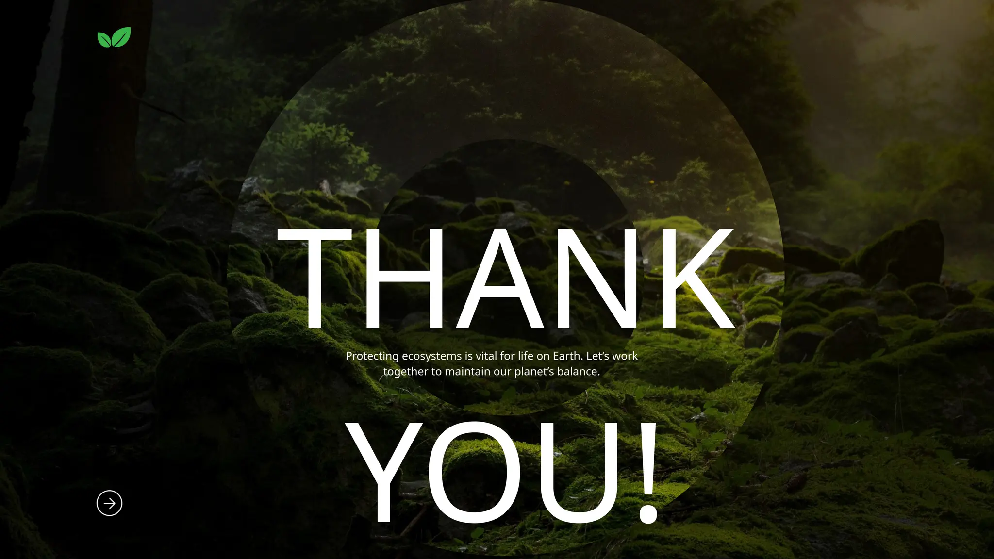 information-age-biodiversity-and-the-healthy-society.pptx