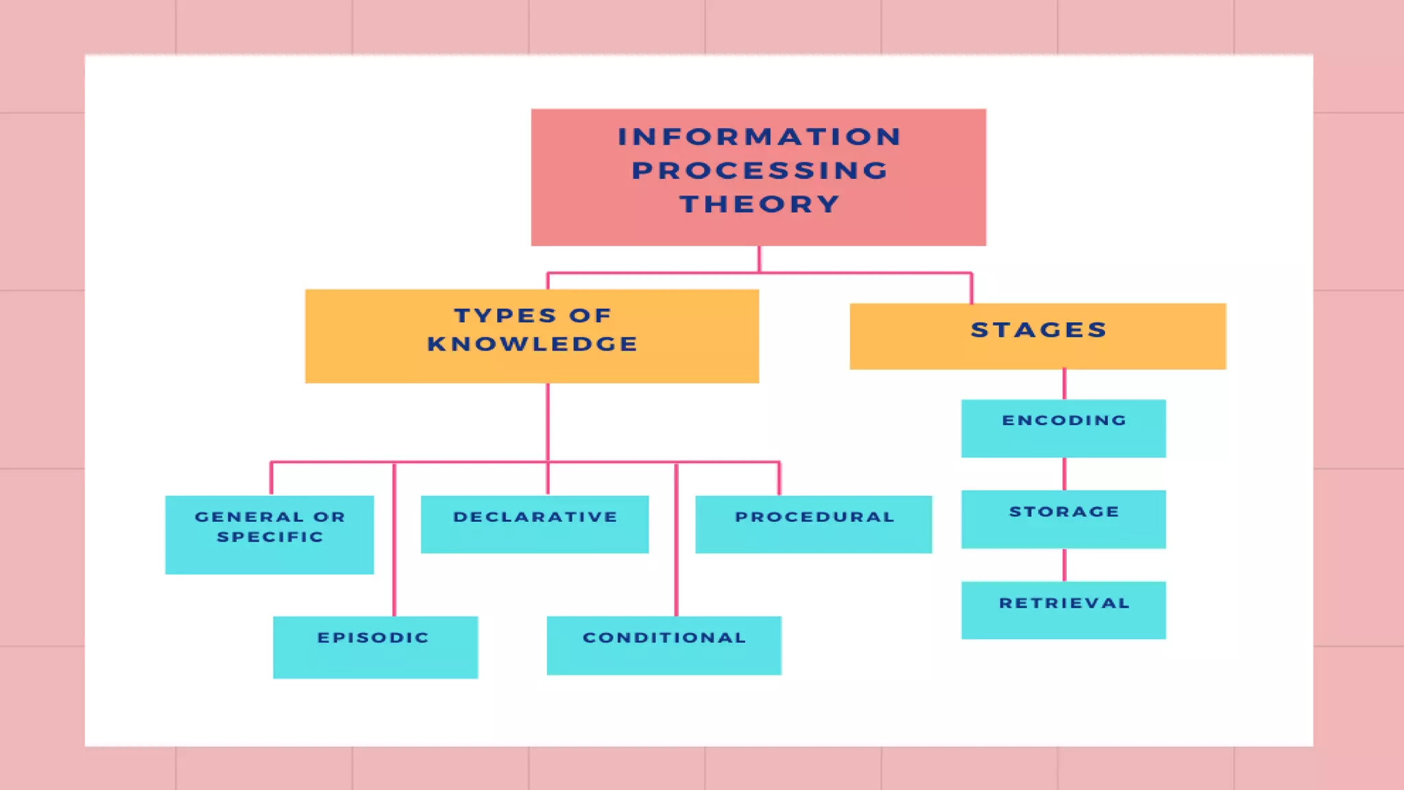 Information-Processing-1.pptx