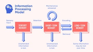 Information-Processing-Theory.pptx about | PPTX
