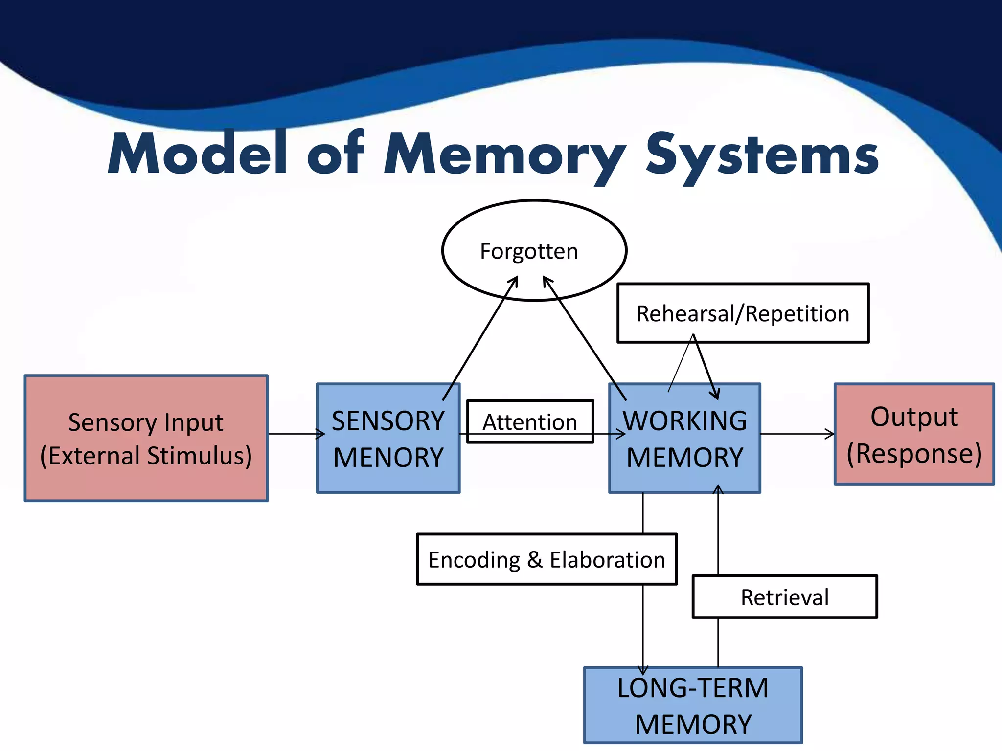 Information processing theories | PPTX