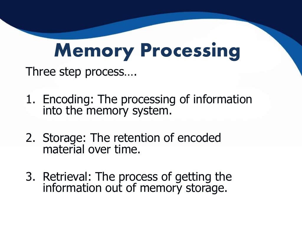Information processing theories