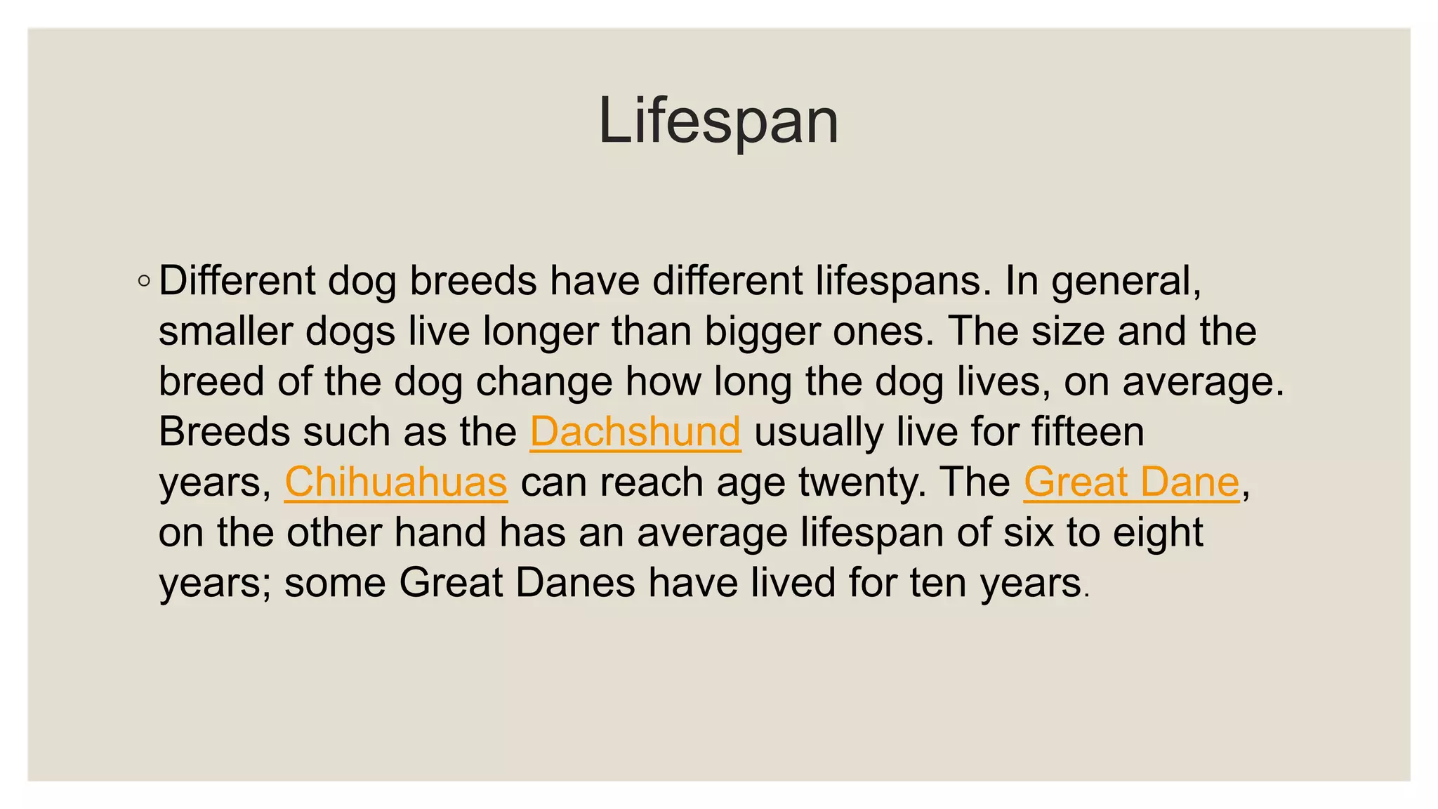 Information about dogs | PPT
